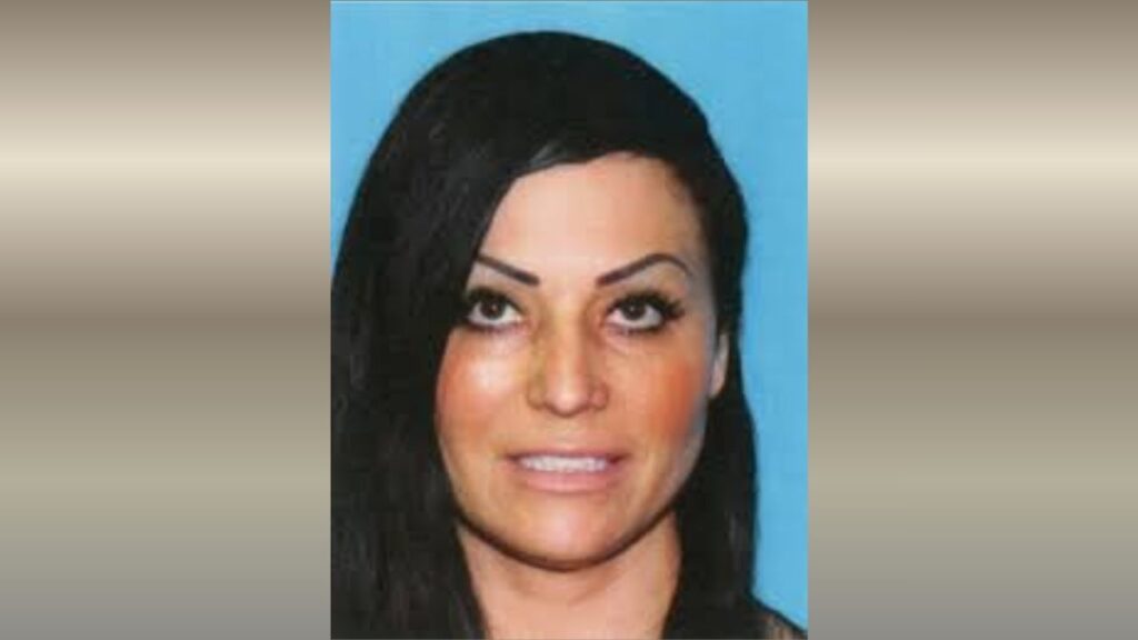 Michigan Woman Sentenced to More Than Six Years for Repeated Identity ...