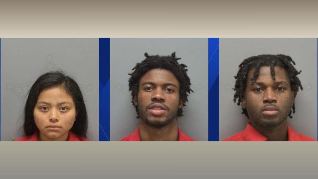 Three Arrested After Armed Robbery and Brutal Assault at Lehigh Acres ...