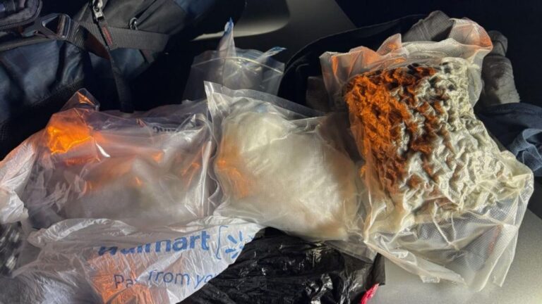 US-80 Semi-Truck Crash in Eureka County Leads to 189-Pound Meth Seizure ...